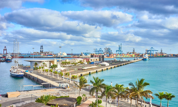 รูปภาพPalmas – เลือกดูภาพถ่ายสต็อก เวกเตอร์ และวิดีโอ14,432 | Adobe Stock