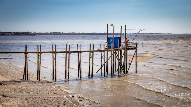 13,951 MEILLEURES Carrelet IMAGES, PHOTOS ET ILLUSTRATIONS VECTORIELLES ...