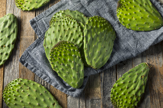 "Cactus Leaf" Images – Browse 836 Stock Photos, Vectors, and Video ...
