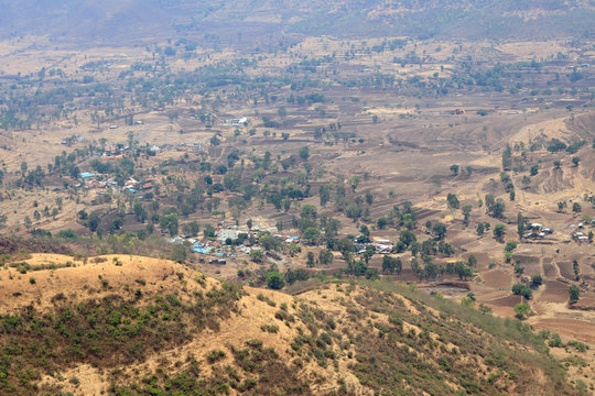 Imágenes de Tatbandi: descubre bancos de fotos, ilustraciones, vectores ...