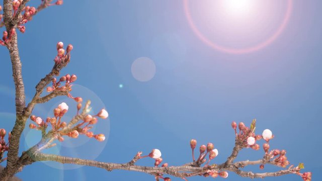 Pinkcolor Images – Browse 485 Stock Photos, Vectors, and Video | Adobe ...