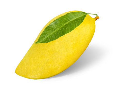 "Yellow Mango" Images – Browse 1,128 Stock Photos, Vectors, and Video ...