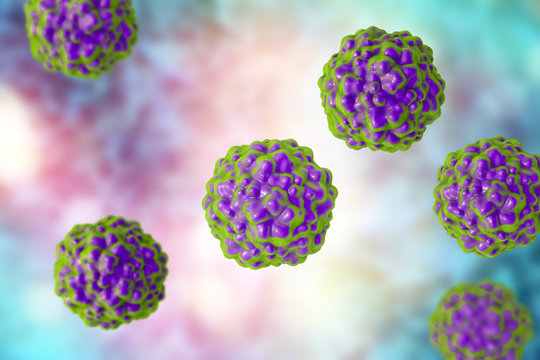 รูปภาพTtv – เลือกดูภาพถ่ายสต็อก เวกเตอร์ และวิดีโอ71 | Adobe Stock