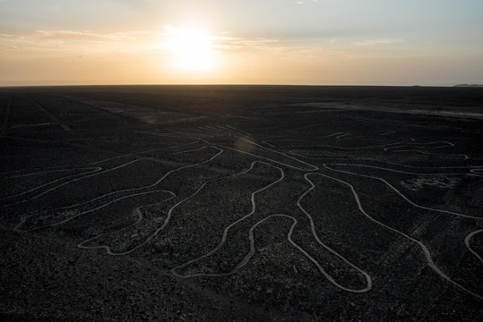 รูปภาพNazca – เลือกดูภาพถ่ายสต็อก เวกเตอร์ และวิดีโอ5,530 | Adobe Stock