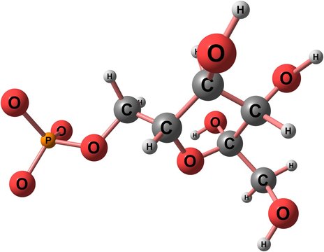 รูปภาพMonosaccharide – เลือกดูภาพถ่ายสต็อก เวกเตอร์ และวิดีโอ1,491 ...