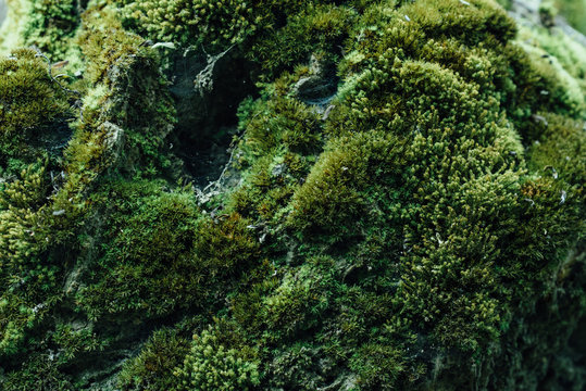 Meugler Images – Parcourir 18,114 le catalogue de photos, vecteurs et ...