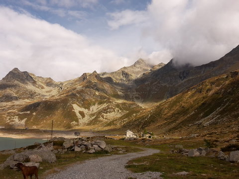 Splügenpass-Bilder: Stock-Fotos & -Videos. | Adobe Stock