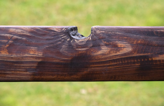 Obrázky Astloch – procházejte fotografie, vektory a videa 3,599 | Adobe ...