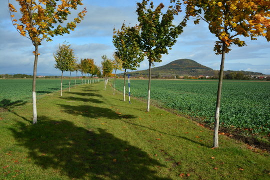 Oip Images – Browse 63 Stock Photos, Vectors, and Video | Adobe Stock