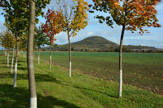 Oip Images – Browse 63 Stock Photos, Vectors, and Video | Adobe Stock