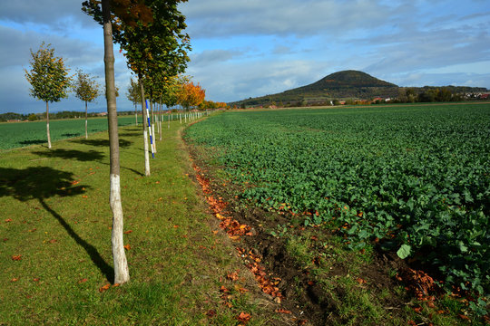 Oip Images – Browse 63 Stock Photos, Vectors, and Video | Adobe Stock