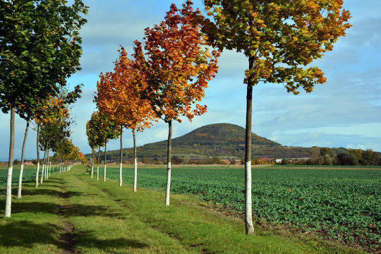 Oip Images – Browse 63 Stock Photos, Vectors, and Video | Adobe Stock