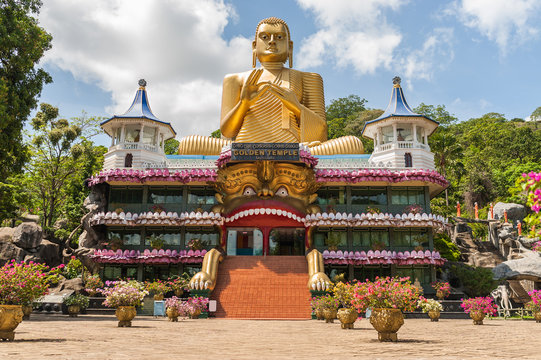 Lank Images – Browse 757 Stock Photos, Vectors, and Video | Adobe Stock