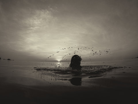 Wassernixe Images – Parcourir 192 le catalogue de photos, vecteurs et ...