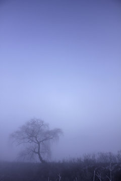 "Poetic Scenery" Images – Browse 52 Stock Photos, Vectors, and Video ...