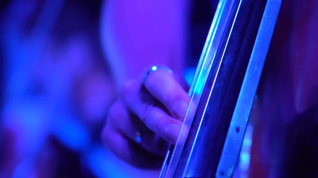 "Contra Bass" Images – Browse 13,416 Stock Photos, Vectors, and Video ...
