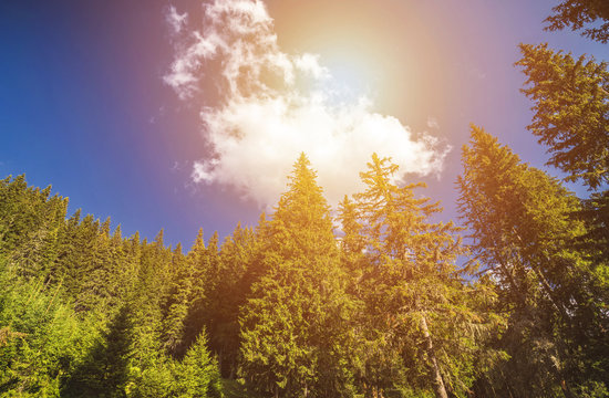 รูปภาพ"From Below" – เลือกดูภาพถ่ายสต็อก เวกเตอร์ และวิดีโอ33,192 ...