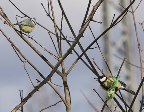 รูปภาพMeisel – เลือกดูภาพถ่ายสต็อก เวกเตอร์ และวิดีโอ375 | Adobe Stock