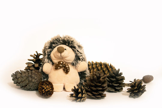 "Prickly Animal" Images – Browse 44 Stock Photos, Vectors, and Video ...