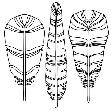Turkey Feathers Vector