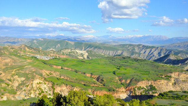 Ilic Images – Browse 14 Stock Photos, Vectors, and Video | Adobe Stock