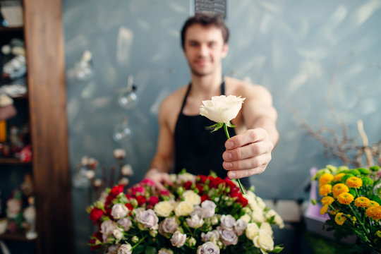 รูปภาพMascular – เลือกดูภาพถ่ายสต็อก เวกเตอร์ และวิดีโอ432 | Adobe Stock