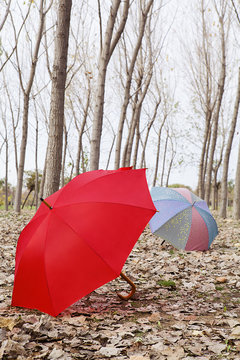 Kavak Bilder – Durchsuchen 131 Archivfotos, Vektorgrafiken und Videos ...