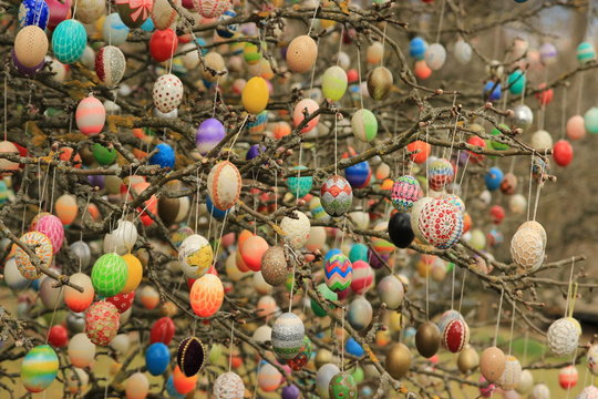 Ostereierbaum Bilder – Durchsuchen 3,509 Archivfotos, Vektorgrafiken ...