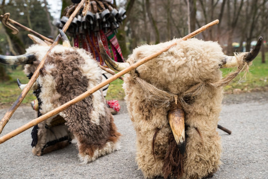 Cuci Images – Browse 61 Stock Photos, Vectors, and Video | Adobe Stock