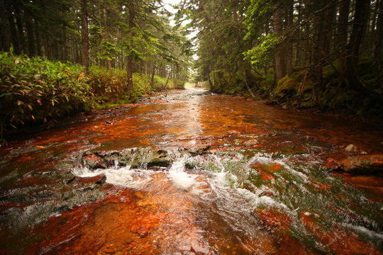 Red River Images – Browse 1,104,914 Stock Photos, Vectors, and Video ...