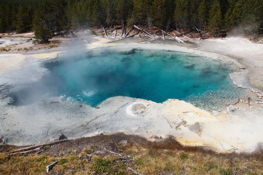 "Cistern Spring" Bilder – Durchsuchen 34 Archivfotos, Vektorgrafiken ...