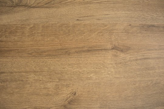 1,012,431 件の最適な Oak 画像、ストック写真、ベクター | Adobe Stock