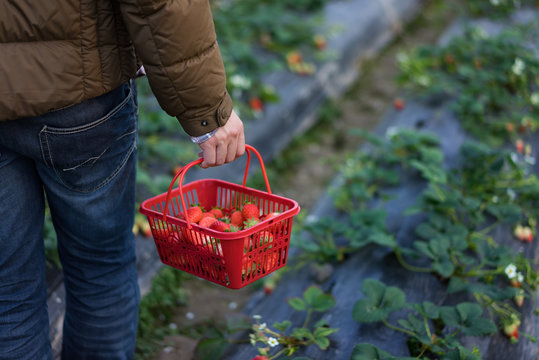 Everypixel Bilder – Durchsuchen 2,109 Archivfotos, Vektorgrafiken und ...