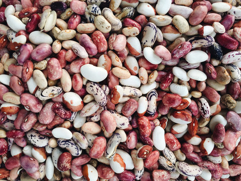 Bean bilder – Bläddra bland 1,776,926 stockfoton, vektorer och videor ...