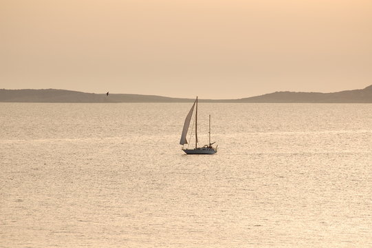 รูปภาพVelado – เลือกดูภาพถ่ายสต็อก เวกเตอร์ และวิดีโอ25 | Adobe Stock