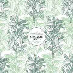 Sewing fabric with Sage. Vector seamless pattern for design menu ...