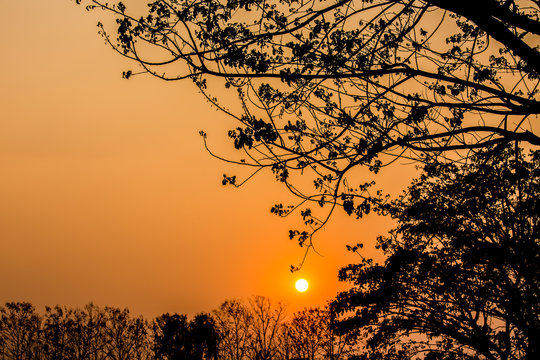 รูปภาพSundawn – เลือกดูภาพถ่ายสต็อก เวกเตอร์ และวิดีโอ998 | Adobe Stock