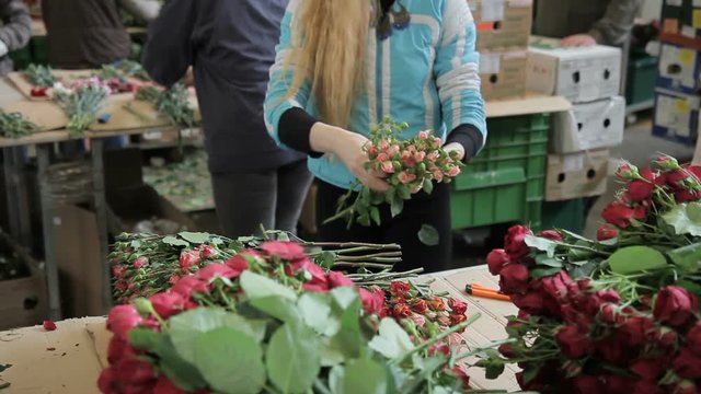 Arranger Images – Browse 1,448 Stock Photos, Vectors, and Video | Adobe ...