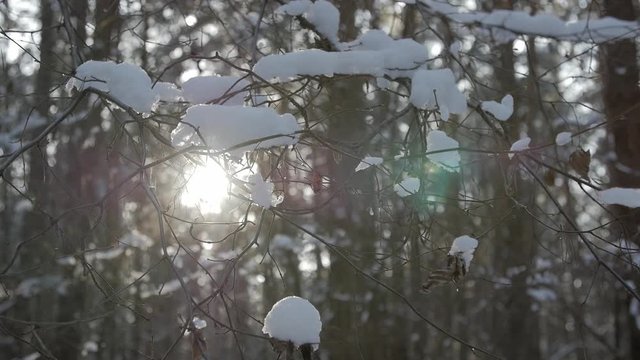 「Swow」の写真素材 | 134件の無料イラスト画像 | Adobe Stock