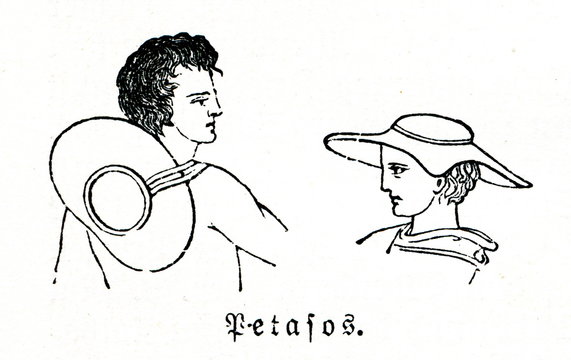 Petasus