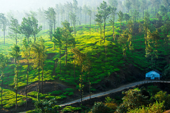 Wayanad Images – Browse 1,071 Stock Photos, Vectors, and Video | Adobe ...