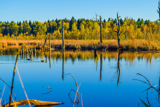 Murass Images – Browse 47 Stock Photos, Vectors, and Video | Adobe Stock