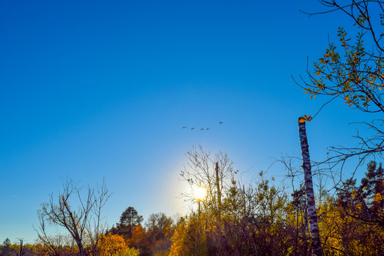 Murass Images – Browse 47 Stock Photos, Vectors, and Video | Adobe Stock