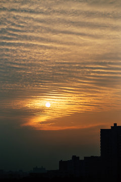 รูปภาพCucoloris – เลือกดูภาพถ่ายสต็อก เวกเตอร์ และวิดีโอ187 | Adobe Stock