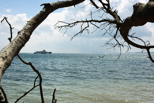 Farry Images – Browse 73 Stock Photos, Vectors, and Video | Adobe Stock