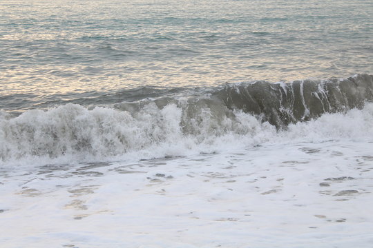 Sea-Bottom Images – Browse 148 Stock Photos, Vectors, and Video | Adobe ...