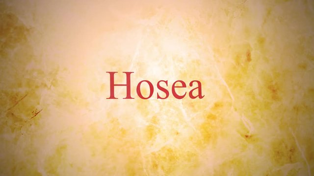 รูปภาพHosea – เลือกดูภาพถ่ายสต็อก เวกเตอร์ และวิดีโอ103 | Adobe Stock