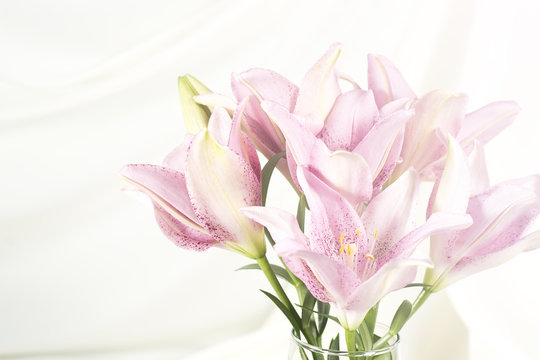 Funeral Background Purple Images – Browse 3,923 Stock Photos, Vectors ...