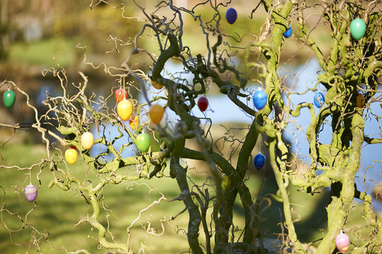 Osterbaum Imagens – Procure 358 fotos, vetores e vídeos | Adobe Stock