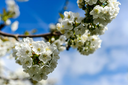 รูปภาพAprile – เลือกดูภาพถ่ายสต็อก เวกเตอร์ และวิดีโอ3,749 | Adobe Stock